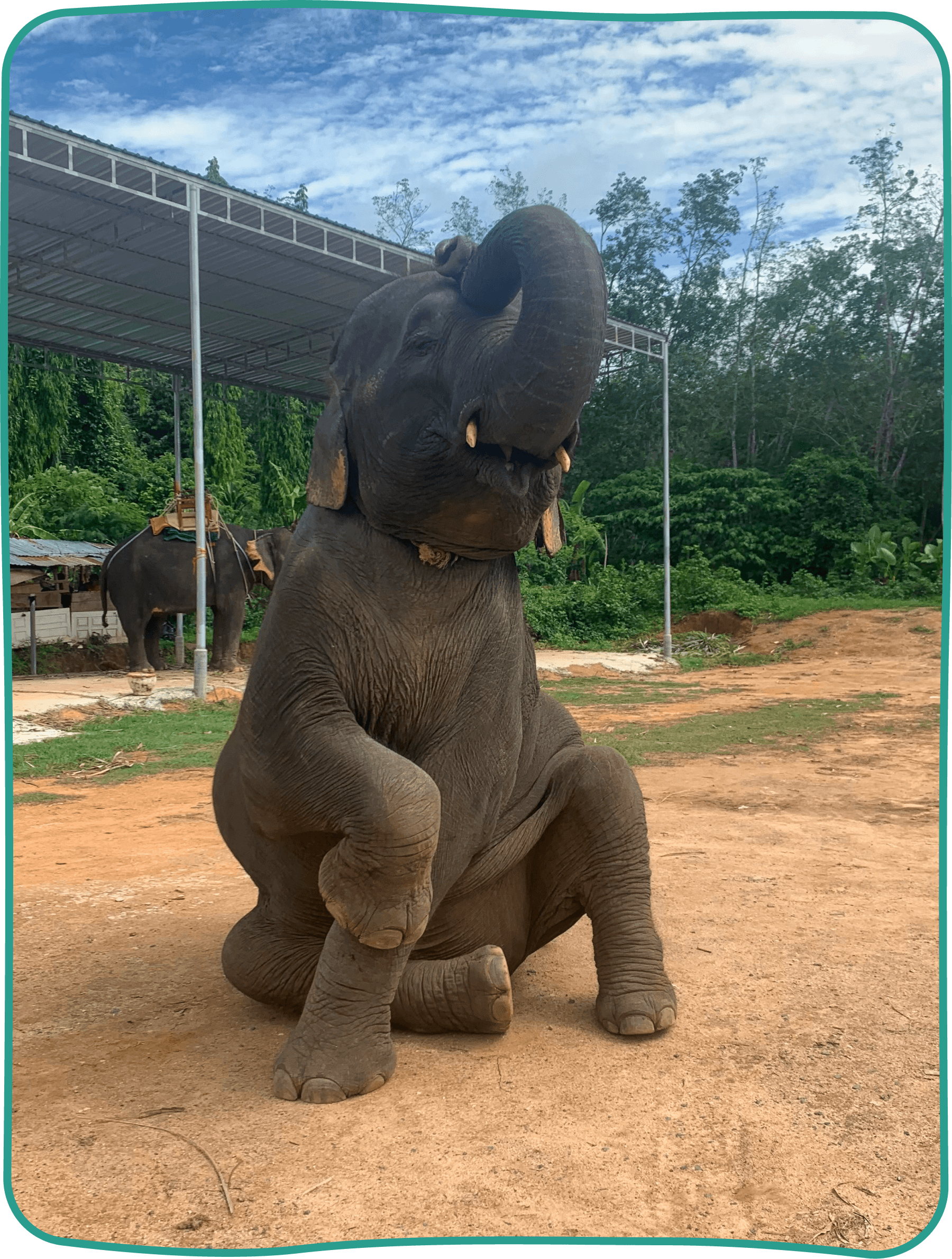 Elephant Camp Phuket