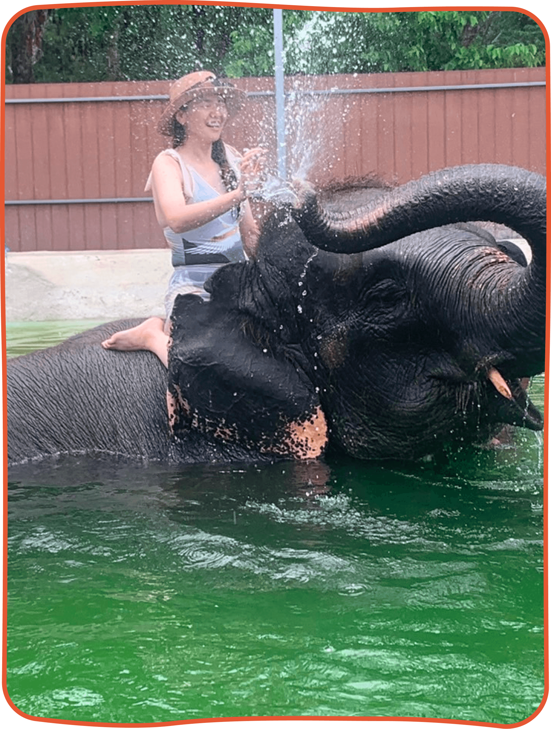 Elephant Camp Phuket