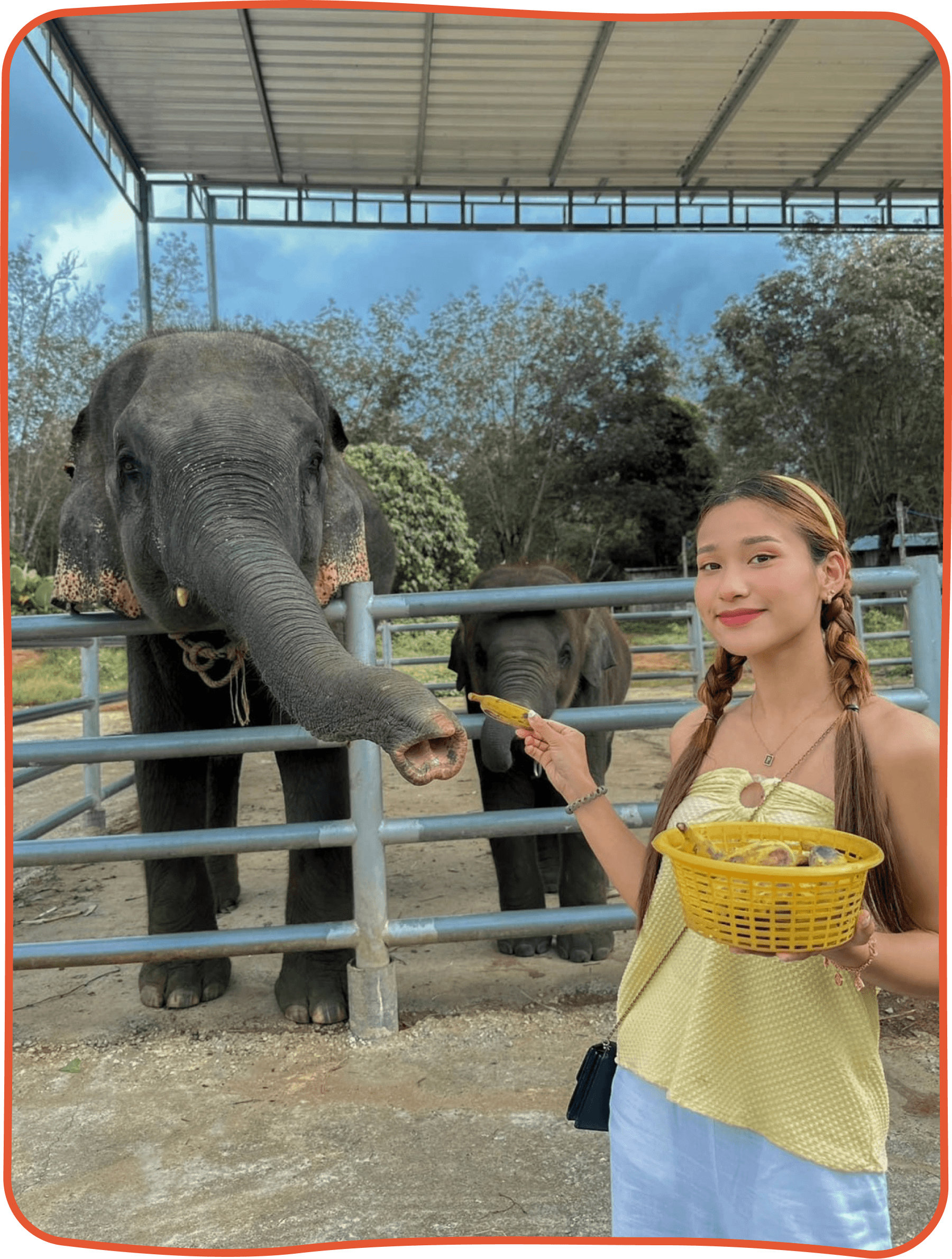 Elephant Camp Phuket