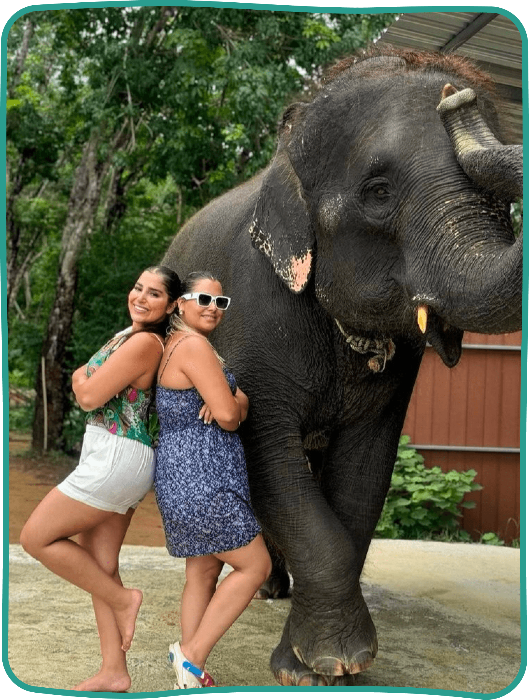 Elephant Camp Phuket