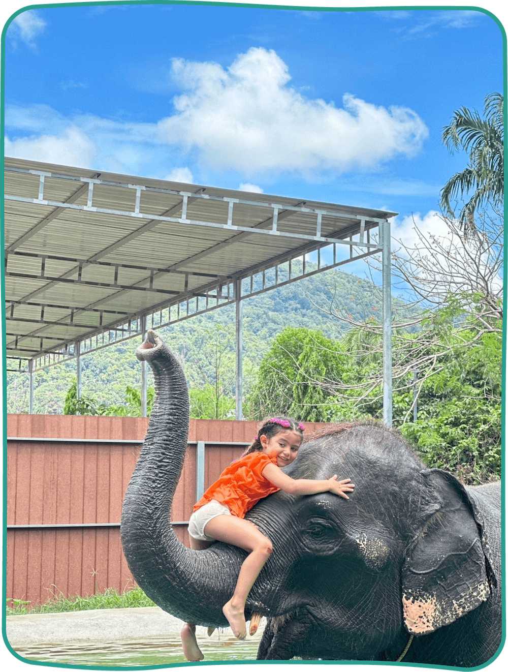 Elephant Camp Phuket